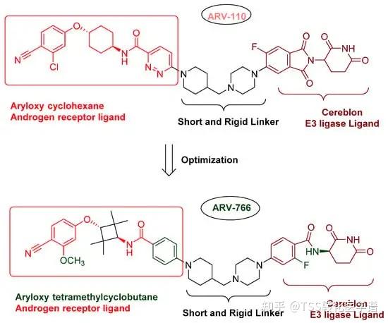 PROTAC降解雄激素受体(AR)治疗前列腺癌耐药的进展 - 知乎
