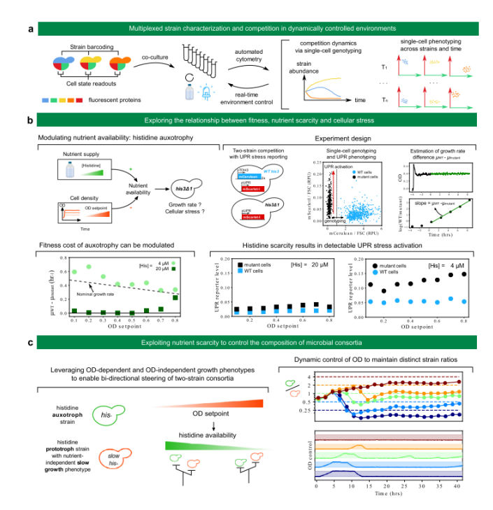 使用 ReacSight 增强生物反应器阵列以实现自动测量和反应控制（下） - 知乎