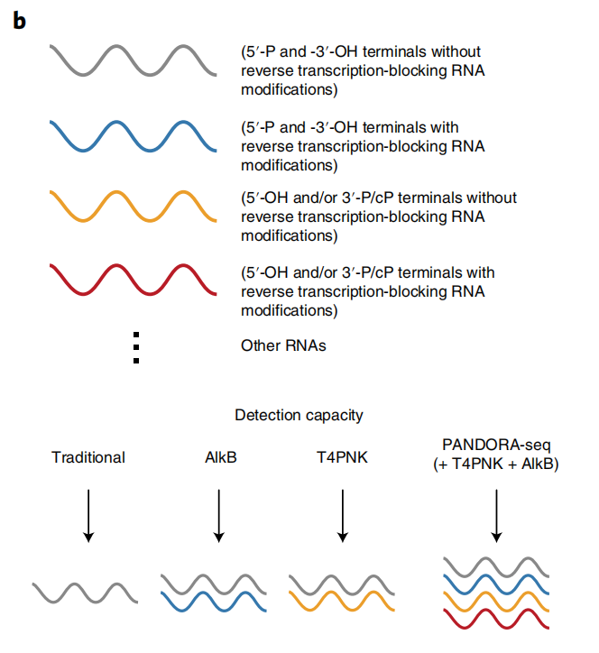 Pandora-Seq - 知乎
