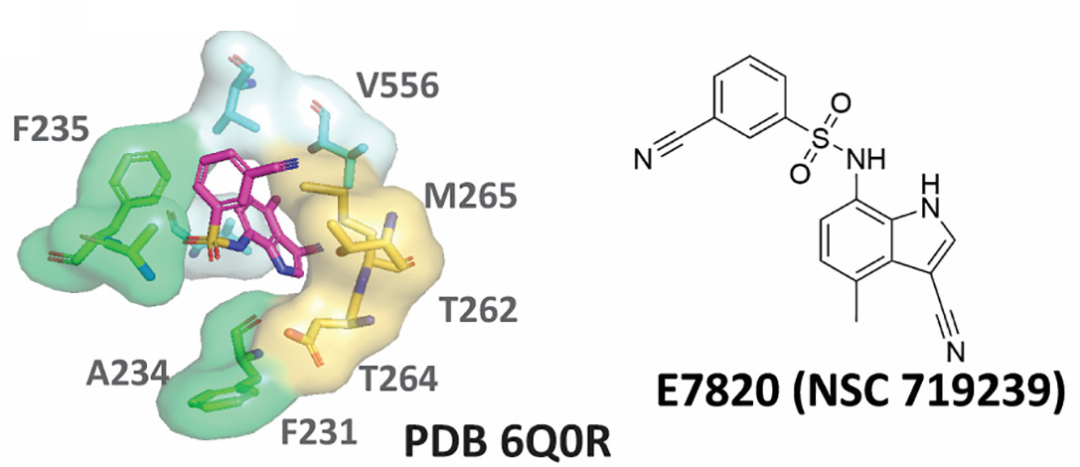 【Cell Chemical Biology】降解型分子胶分子机制总结 - 知乎