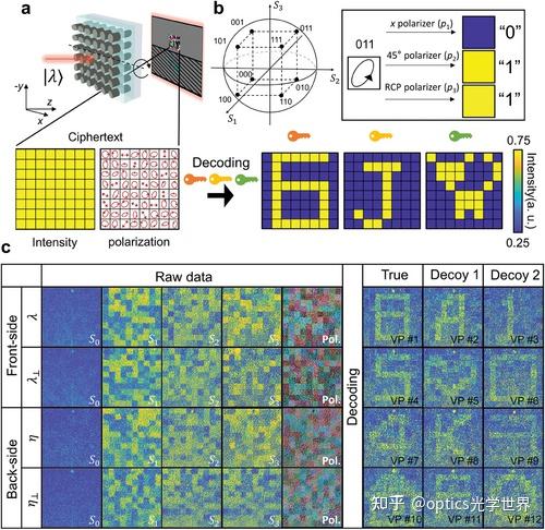 [顶刊速览 33] Advanced Science - Janus 超表面×定向 相位+偏振 操控 - 知乎