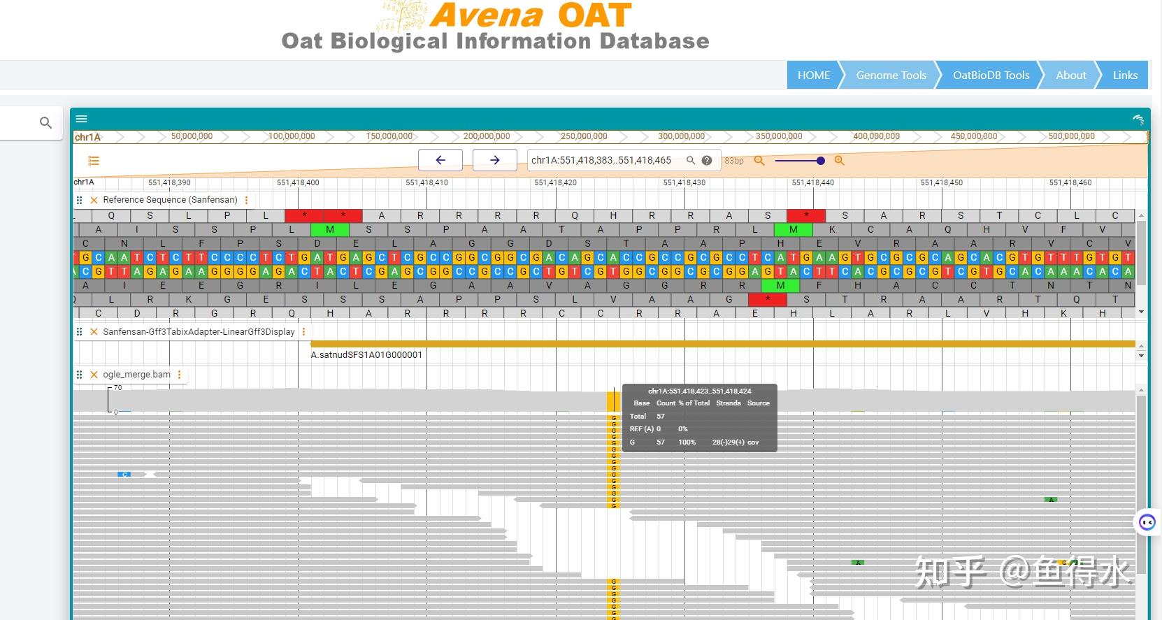 燕麦基因组浏览器Jbrowse2的在线使用 - 知乎