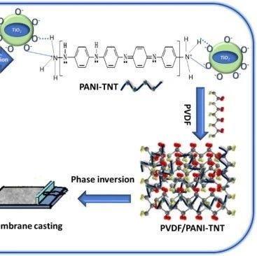 英国曼彻斯特大学刘旭庆博士课题组《CEJ》 ：相转化PVDF纺织污水处理薄膜 - 知乎