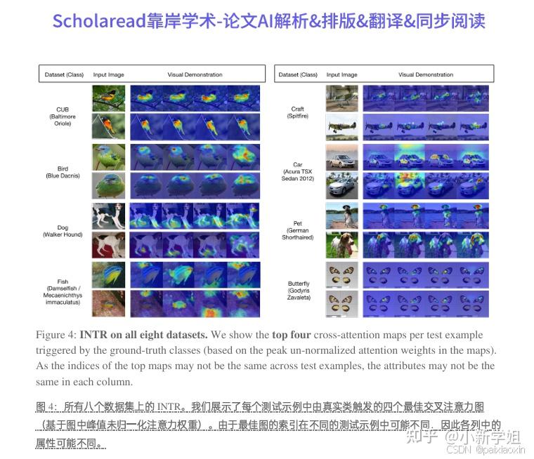 ICLR2024论文解读|A Simple Interpretable Transformer for Fine-Grained Image Classification and ...