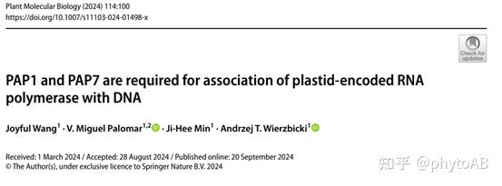 PLANT MOL BIOL | pTAC3和pTAC14是质体编码的RNA聚合酶（PEP）结合到DNA所必需的 - 知乎