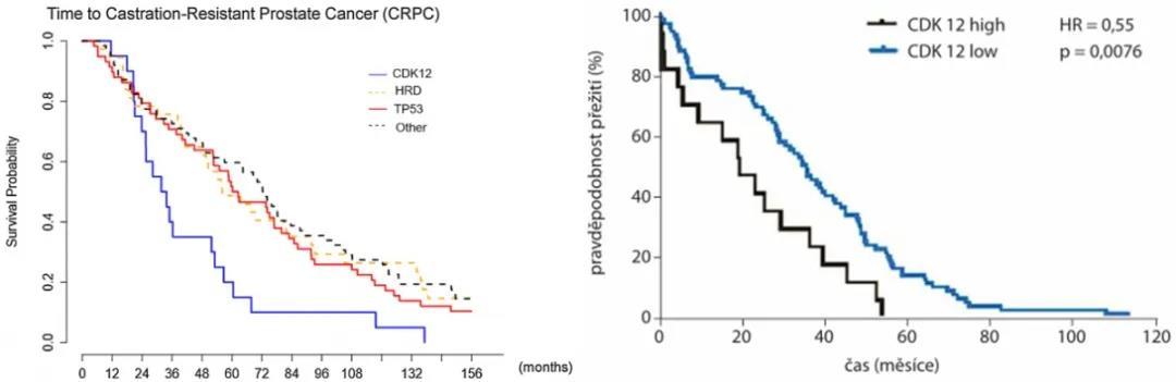 学术前沿 | CDK12基因在肿瘤临床应用的明星之路 - 知乎