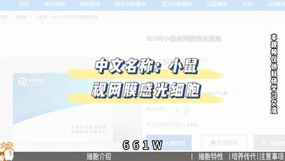 661W细胞培养，小鼠视网膜感光细胞培养攻略 - 丰晖生物 - 知乎
