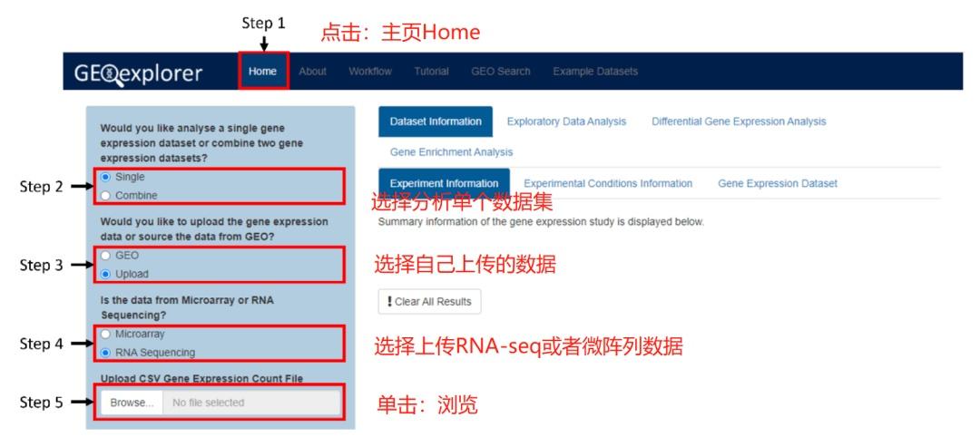 NAR最新发布--GEOexplorer：基因表达分析和可视化的在线工具 - 知乎
