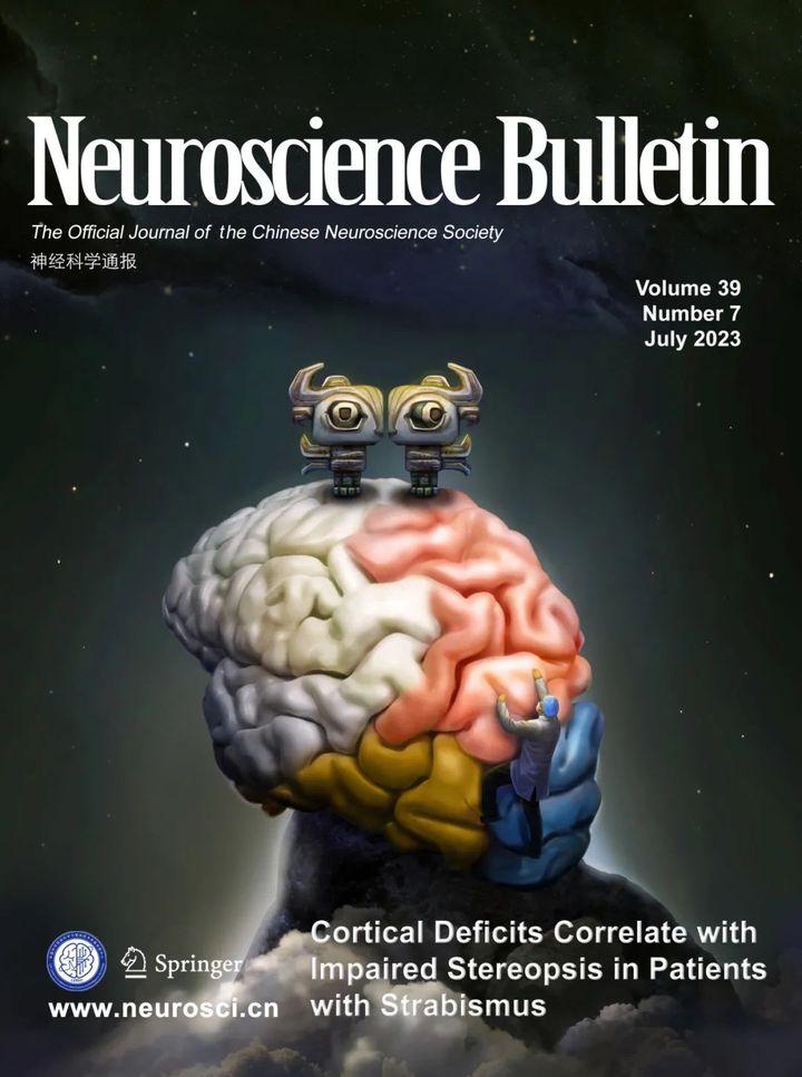 Neuroscience Bulletin 2023年第7期封面文章│斜视立体视损伤的神经基础 - 知乎