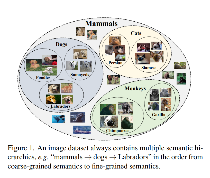 [CVPR 2022] HCSC: Hierarchical Contrastive Selective Coding - 知乎