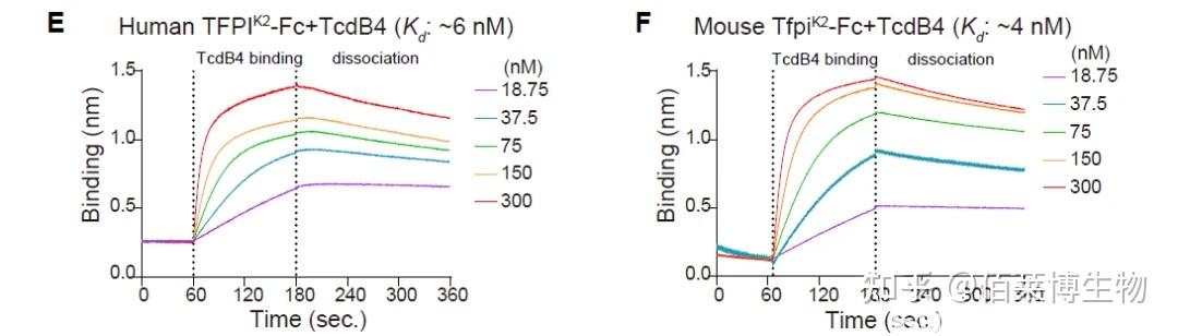 一文读懂利用生物膜干涉技术（BLI）进行竞争性结合实验 - 知乎