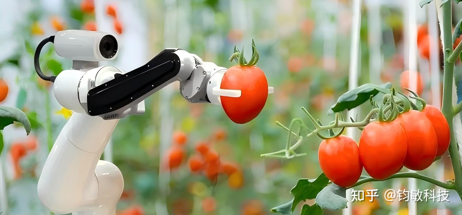 （机械手臂关节）离轴磁性编码器IC -SME200（2.0mm间距） - 知乎