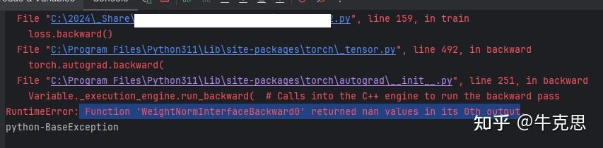 PyTorch训练过程中出现NaN的排查笔记 - 知乎