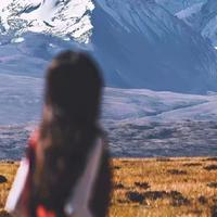 2025实测！PaperPass免费查重全攻略：3天降重80%的毕业必备技巧 - 知乎