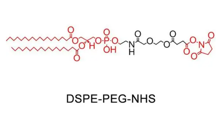 PLGA-PEG-NHS/PLGA-PEG1/2/3/3.4/4/5/10K聚乳酸羟基乙酸共聚物-聚乙二醇-活性酯 - 知乎