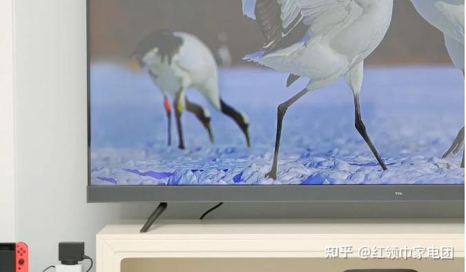 年度性价比电视？TCL S12系列电视新春特价开团正在进行中！75寸五折特惠仅需4699入手，3599元即可得65寸，55寸2499突破底价——TCL S12电视丨TCL S12丨TCL ...