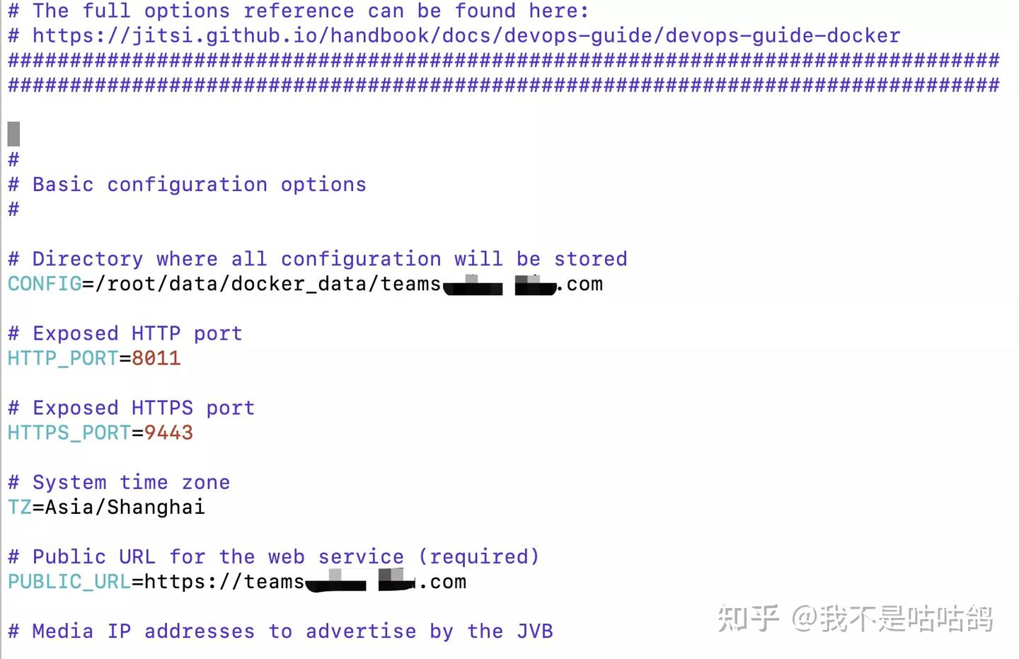 腾讯会议替代品！10分钟搭建一个开源视频会议项目——Jitsi ｜ 好玩儿的Docker项目 - 知乎
