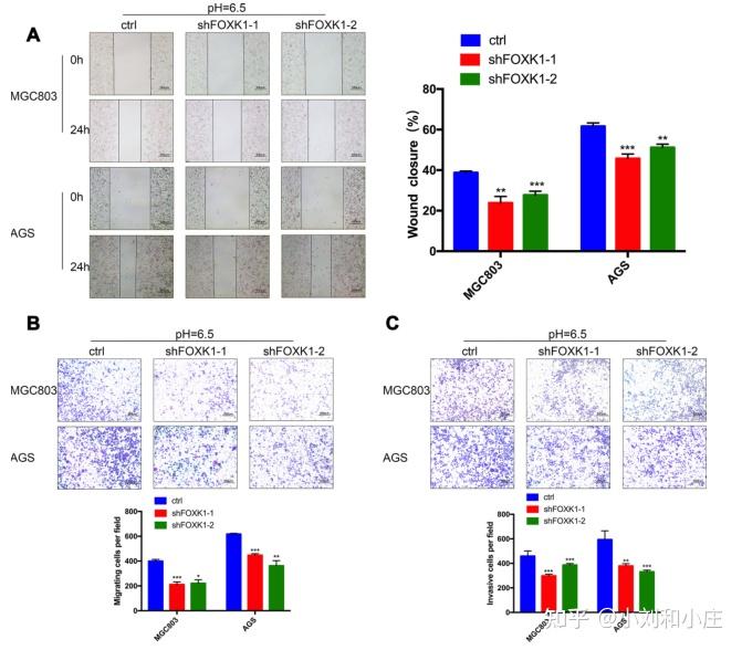 零基础SCI绘图（9）如何出一张Figure上篇figure的构成 - 知乎
