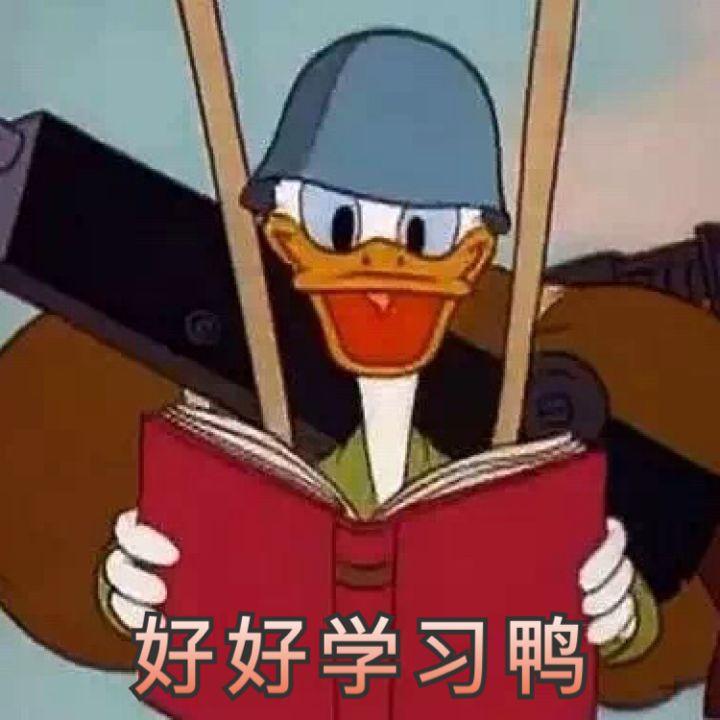 Python 04 函数 知乎 6344