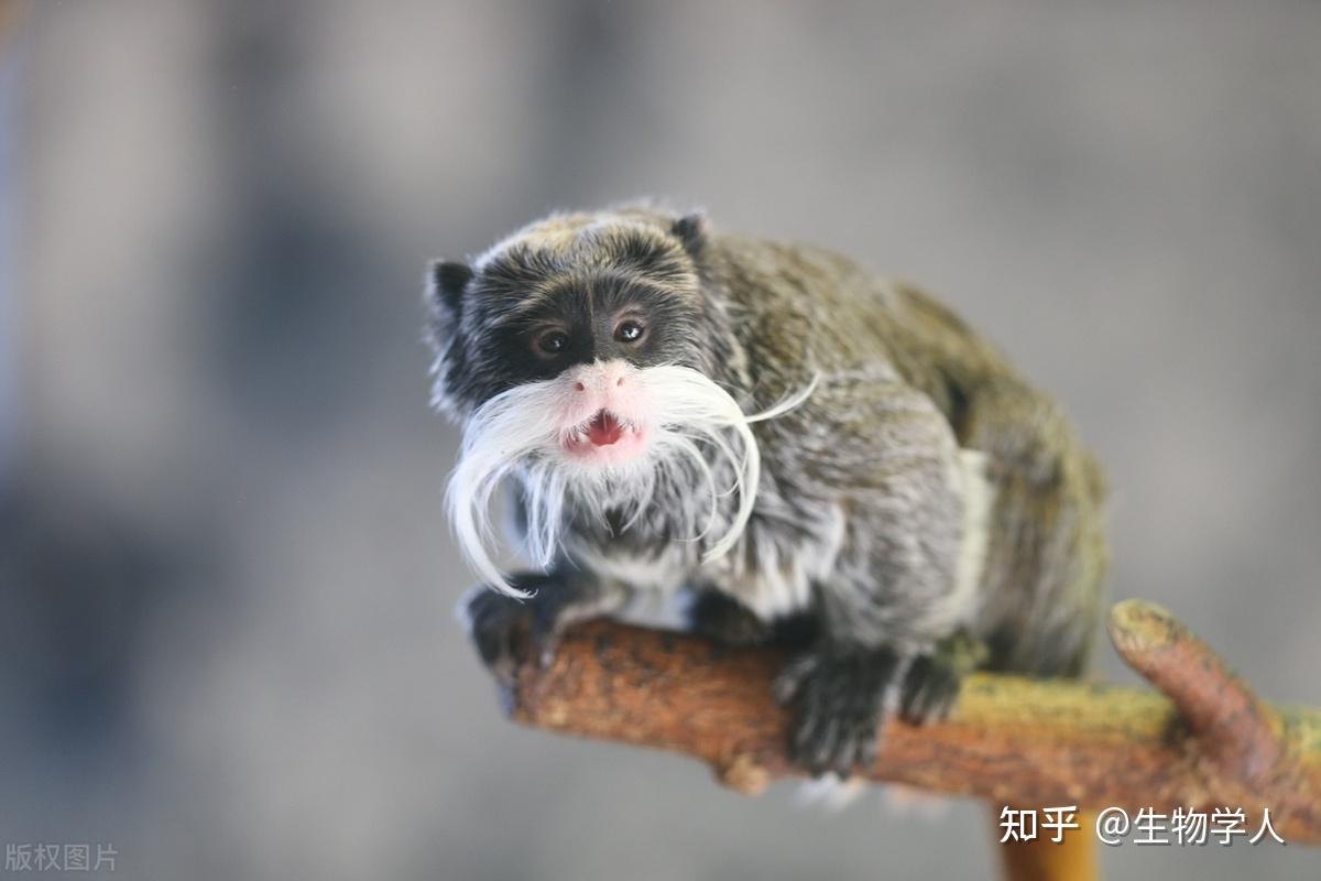 你似乎来到了没有知识存在的荒原 - 知乎