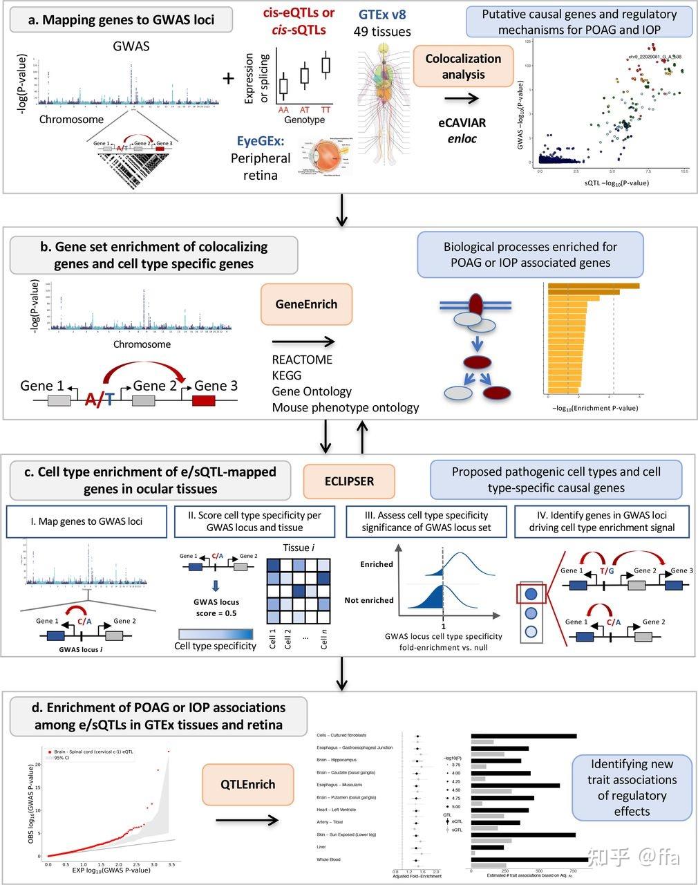 GWAS研究基本概念4——GWAS+scRNA工具列表 - 知乎