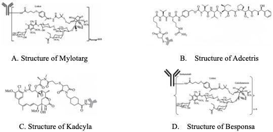 抗体药物偶联物（Antibody-drug conjugate, ADC）的发展 | 多维海拓行研 - 知乎
