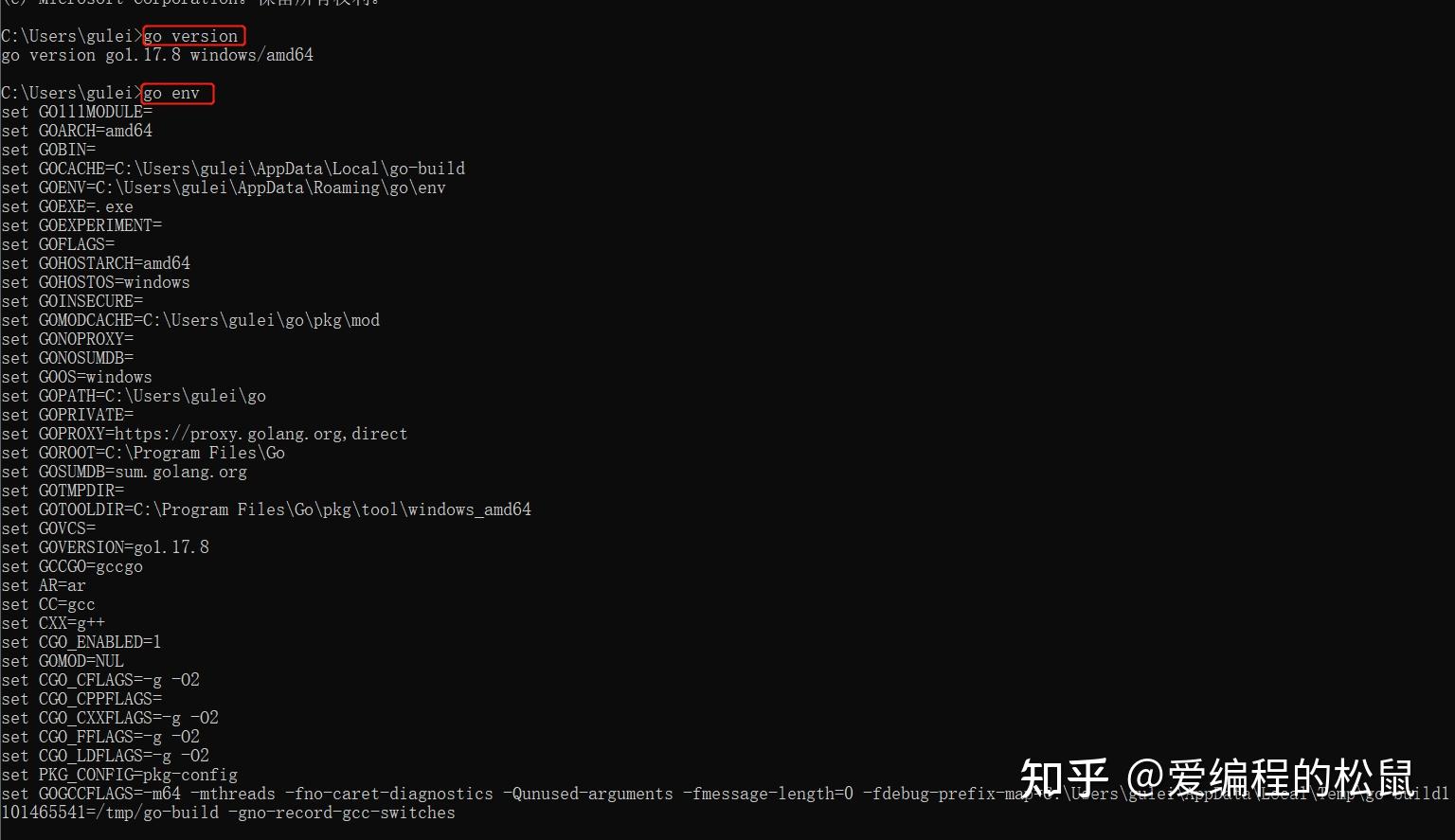 2023年最新Golang入门教程（非常详细）从零基础入门到精通，看完这一篇就够了 - 知乎