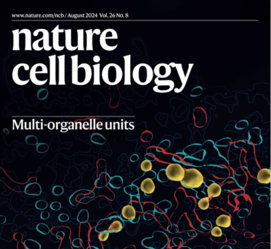 Nat Cell Bio | 清华青大联合：乳腺癌骨转移中骨微环境的变化 - 知乎