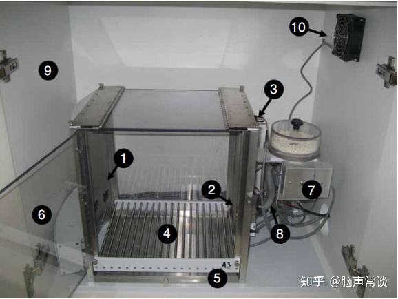 脑声常谈：五项选择连续反应时间任务实验仪器介绍（以大鼠为例） - 知乎