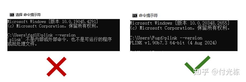 Plink遗传学数据分析工具的安装与使用 - 知乎