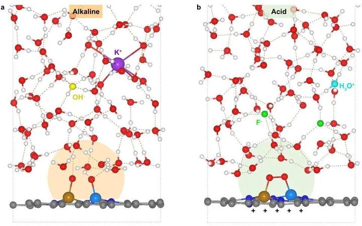 Nature子刊：双层微环境在M-N-C催化剂的pH依赖性ORR活性中的作用 - 知乎