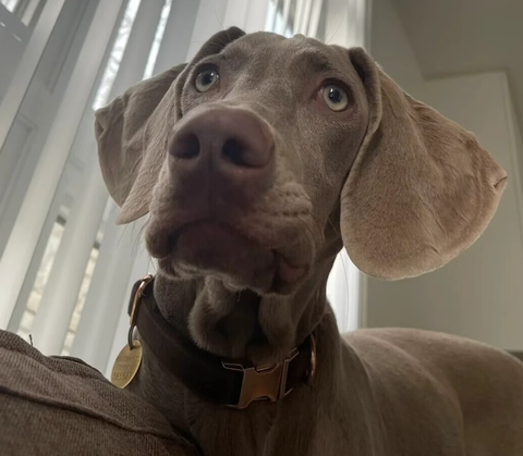 C语言-const char*,char const*,char *const理解 - 知乎