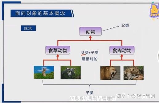盛齐讲软考系规：什么是继承 知乎 3826