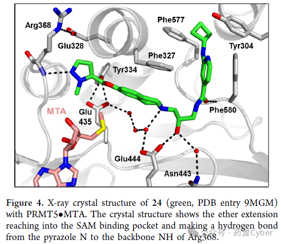 药渡Cyber解析MTA协同PRMT5抑制剂的发现与结构优化 - 知乎