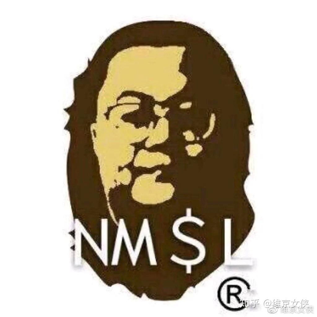 NMSL, No More Silly Language - 知乎