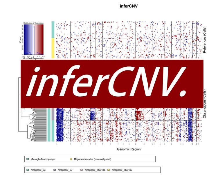 inferCNV | 如何找到染色体缺失的那部分基因 - 知乎