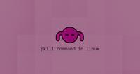 Linux 下的 Pkill 命令 - 知乎