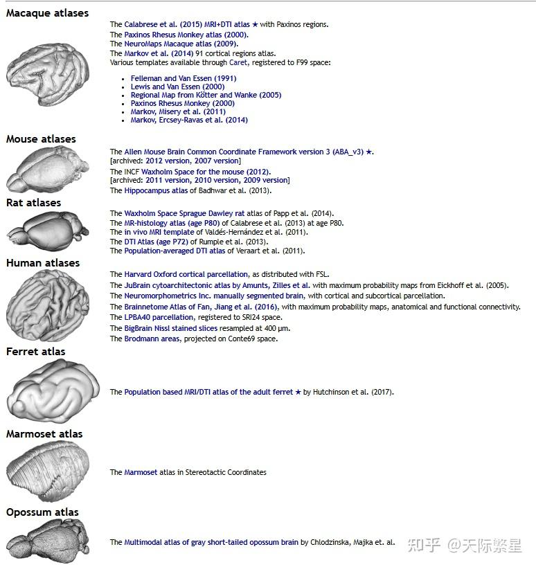 Scalable Brain Atlas使用 - 知乎