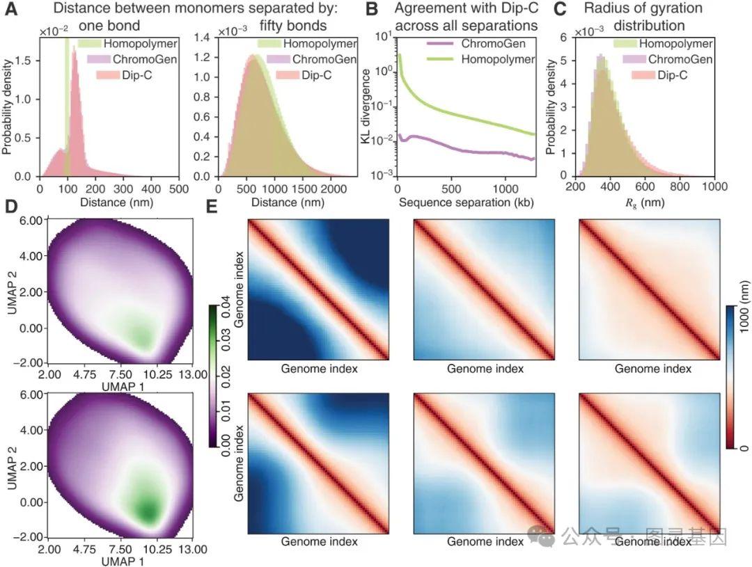 Sci Adv | 生成式AI模型ChromoGen快速预测单细胞染色质构象 - 知乎