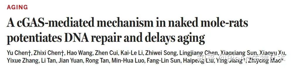 专家点评 Science | 毛志勇团队阐明长寿动物裸鼹鼠cGAS促进DNA修复以延缓衰老的分子机制 - 知乎
