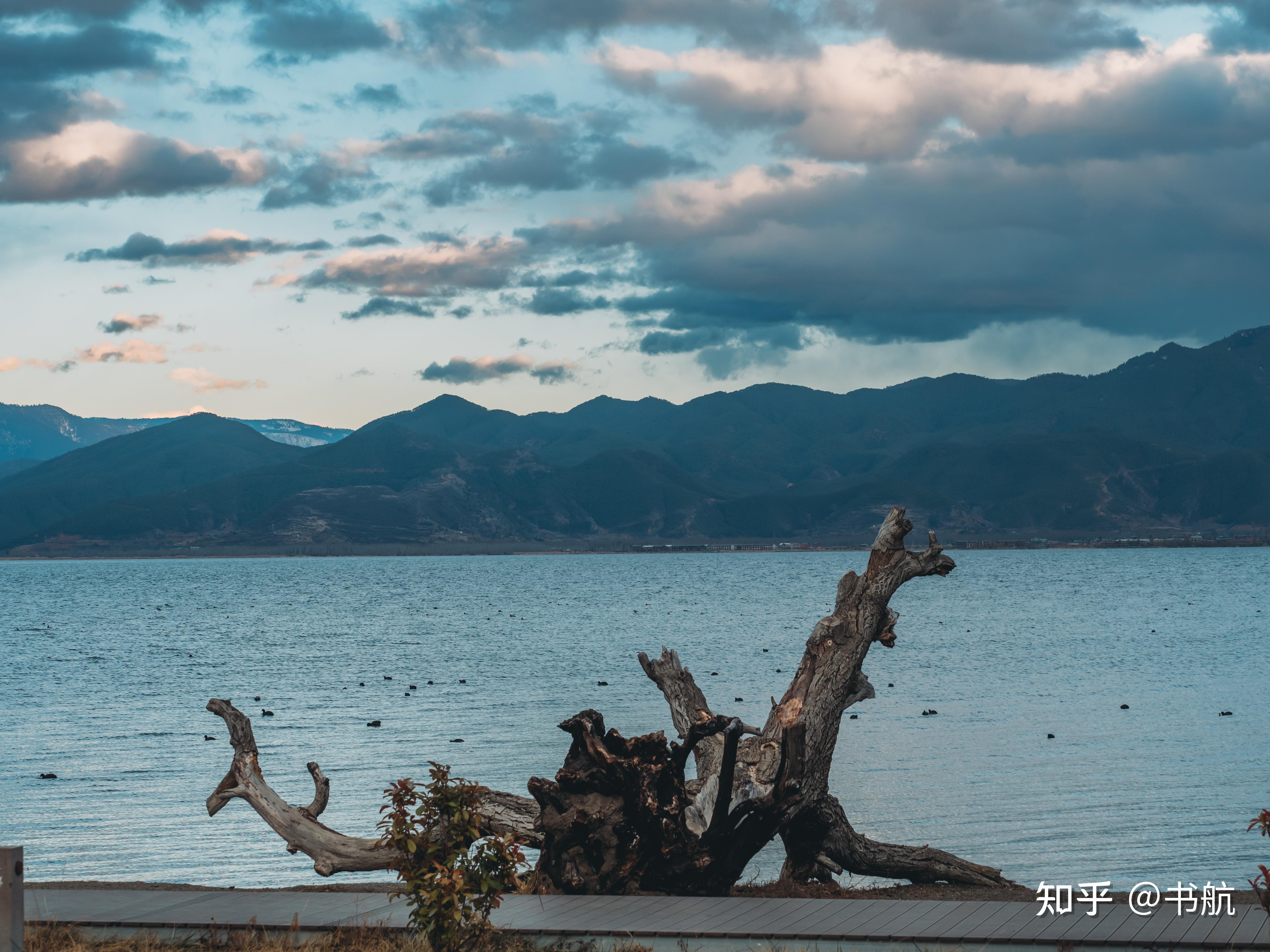 2022 年新手买奥林巴斯 EM53 合适吗？ - 知乎