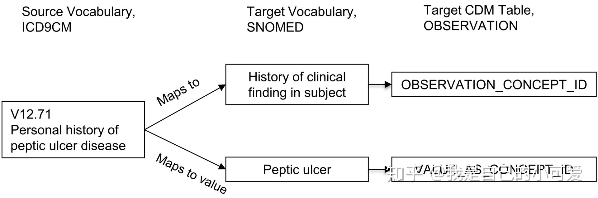 一起来了解OMOP标准化术语集 - 知乎