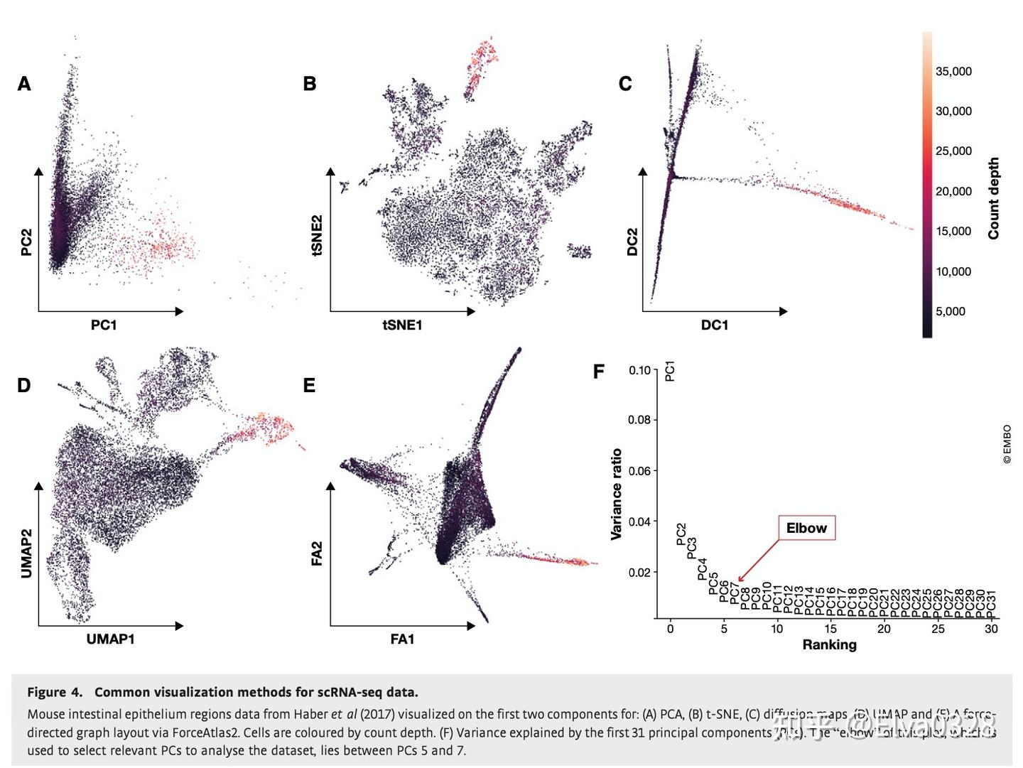 目前最佳的single cell RNA sequencing分析实践指南 - 知乎