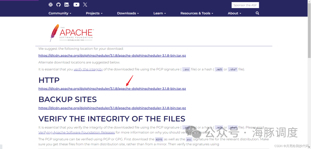 Apache DolphinScheduler 3.1.8 保姆级教程【安装、介绍、项目运用、邮箱预警设置】轻松拿捏！ - 知乎