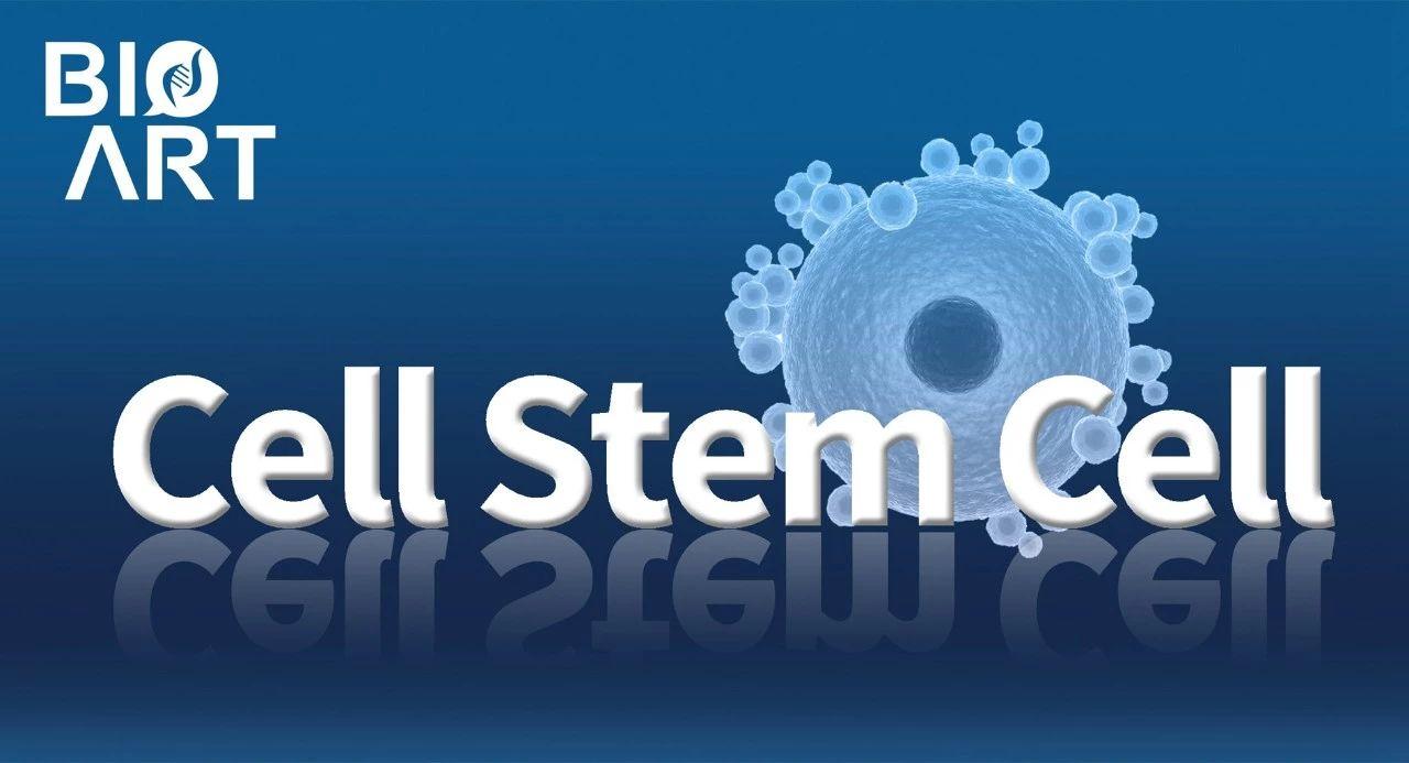 Cell Stem Cell新技术 | 单细胞谱系追踪解析造血干细胞命运与转录组特征 - 知乎