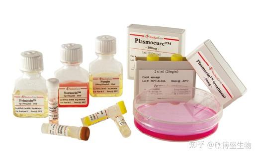 支原体预防和去除试剂 - 知乎