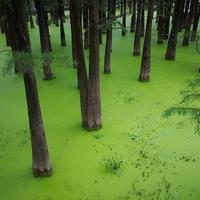 Java上的Pandas：tablesaw - 知乎