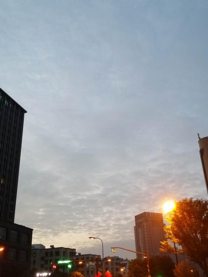 简单真自我，洒脱得快乐！ - 知乎