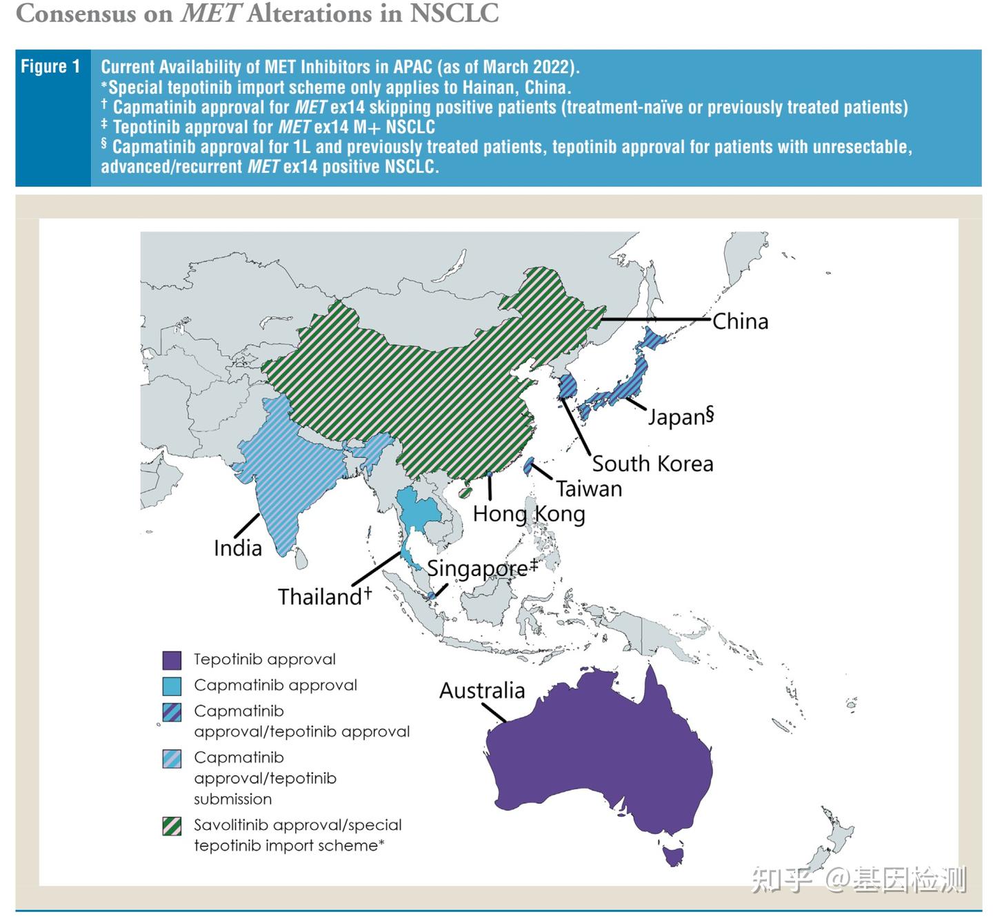 亚洲胸肿瘤研究小组(ATORG)关于非小细胞肺癌中MET改变的专家共识声明：诊断和治疗的考虑 - 知乎