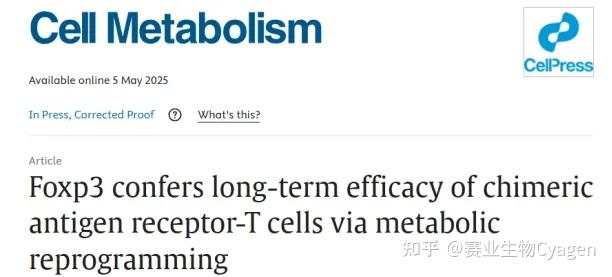 Cell Met（IF=27.7）丨复旦大学附属华山医院骆菲菲团队发现Foxp3通过代谢重编程提升CAR-T细胞抗实体瘤治疗疗效 - 知乎